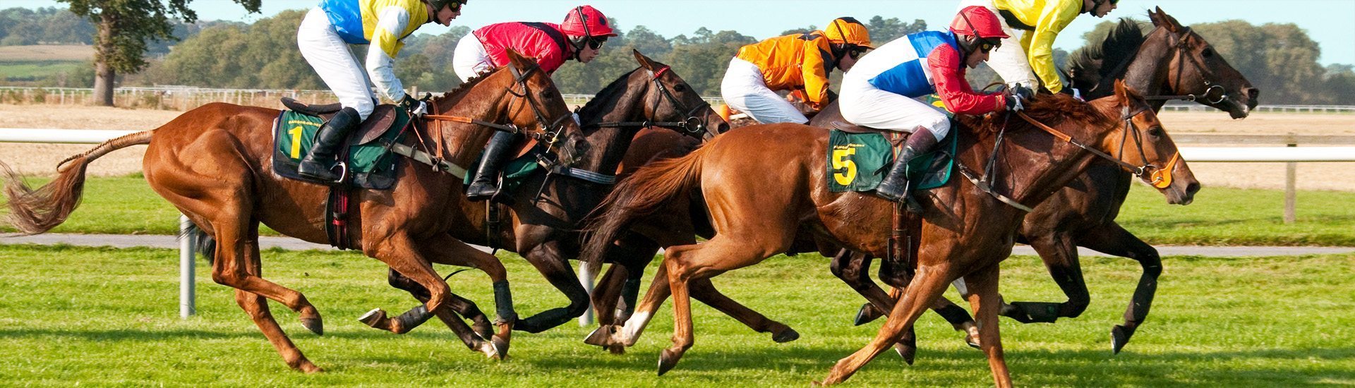 Book VIP horse racing events tickets | GPexperiences
